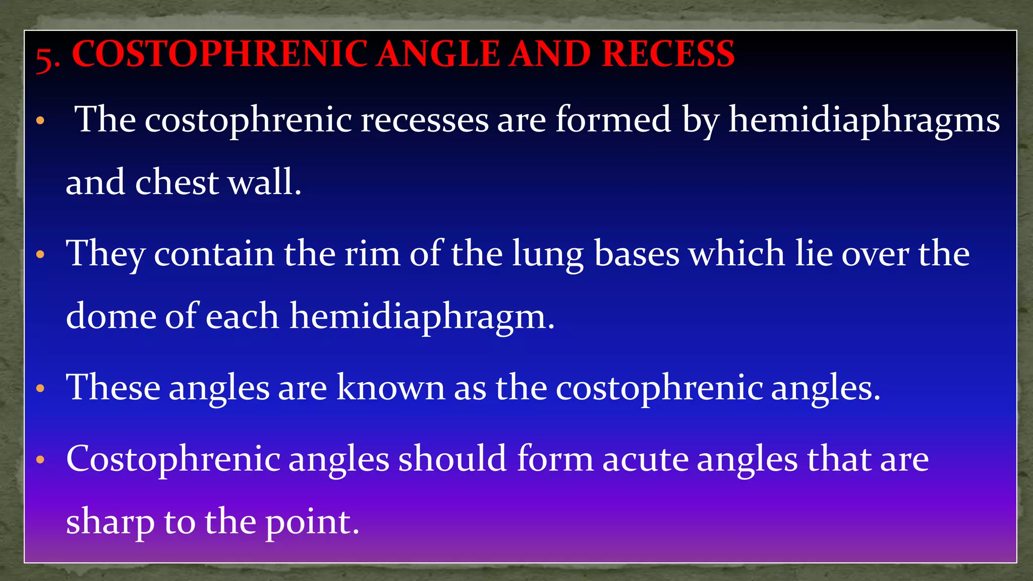 Chest x ray interpretation | PPT