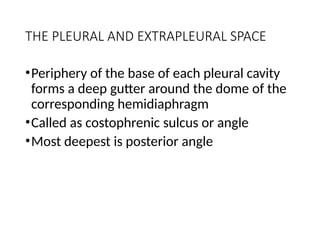 Chest Xray Radiograph Brief explain .pptx
