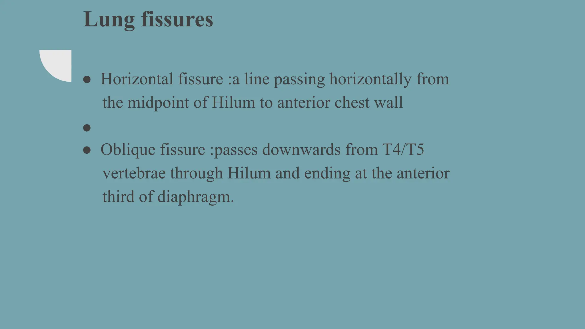 Chest xray -Lateral view radiology basics | PDF