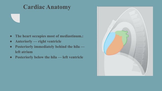 Chest xray -Lateral view radiology basics | PDF