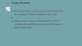 Chest xray -Lateral view radiology basics | PDF