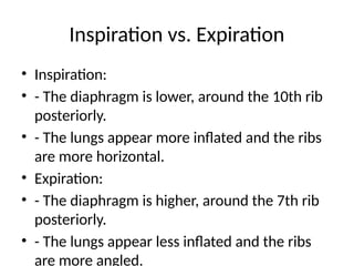 Chest_Xray_Inspiration_Expiration_Symmetry_Presentation.pptx