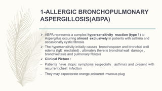 Chest x ray interpretation of infections [autosaved] | PPTX