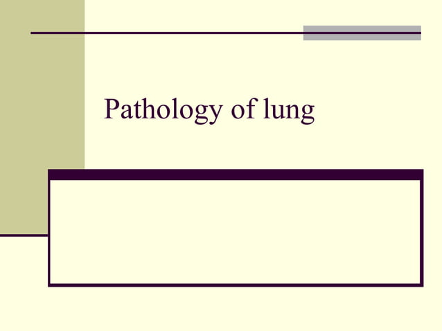 Chest x ray pathology | PPT | Lung and Respiratory Health | Diseases ...