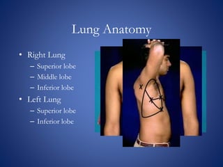 Chest x rays BY Dr Anoop K R | PPTX