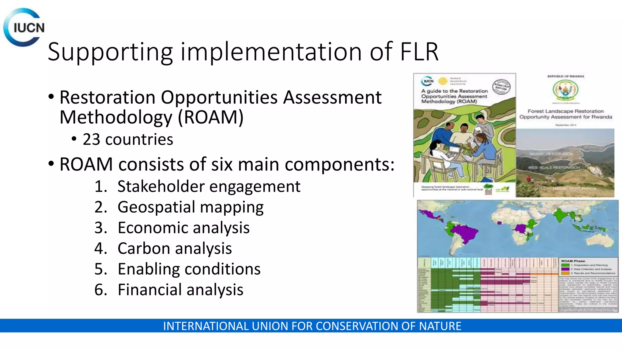 Restoring our rainforests: Bonn Challenge and Forest Landscape ...