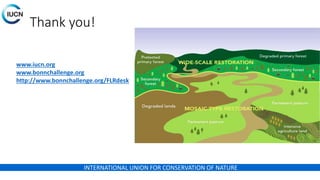 Restoring our rainforests: Bonn Challenge and Forest Landscape ...