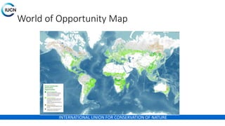 Restoring our rainforests: Bonn Challenge and Forest Landscape ...