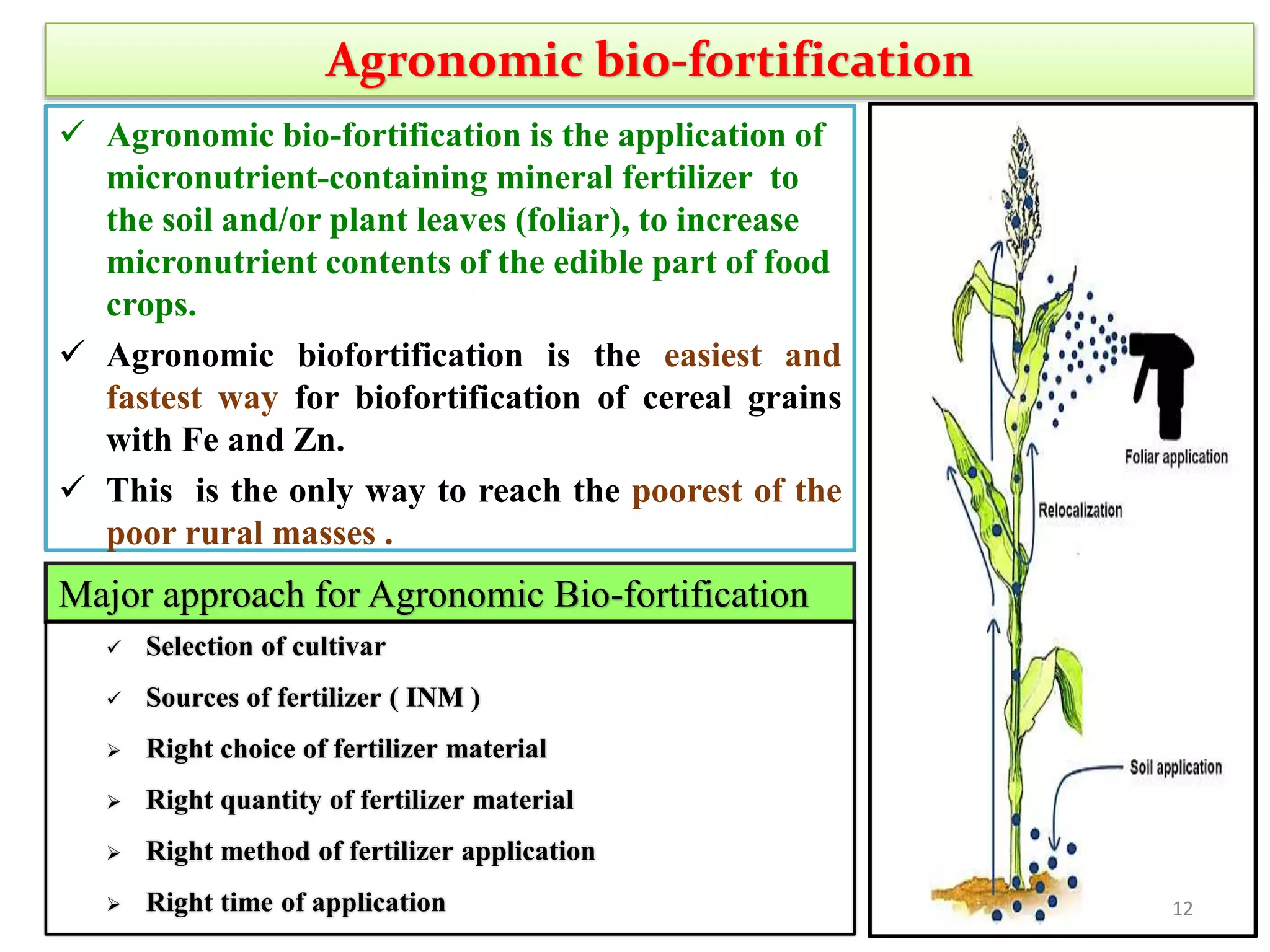 chethan biofortification.pptx