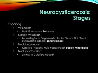Neurocysticercosis | PPT