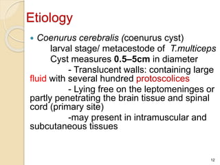 A CASE STUDY OF COENUROSIS IN GOAT VTH CHITWAN | PPTX