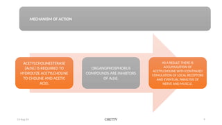 CHETTY FMT.pptx,............. ...... . | PPTX
