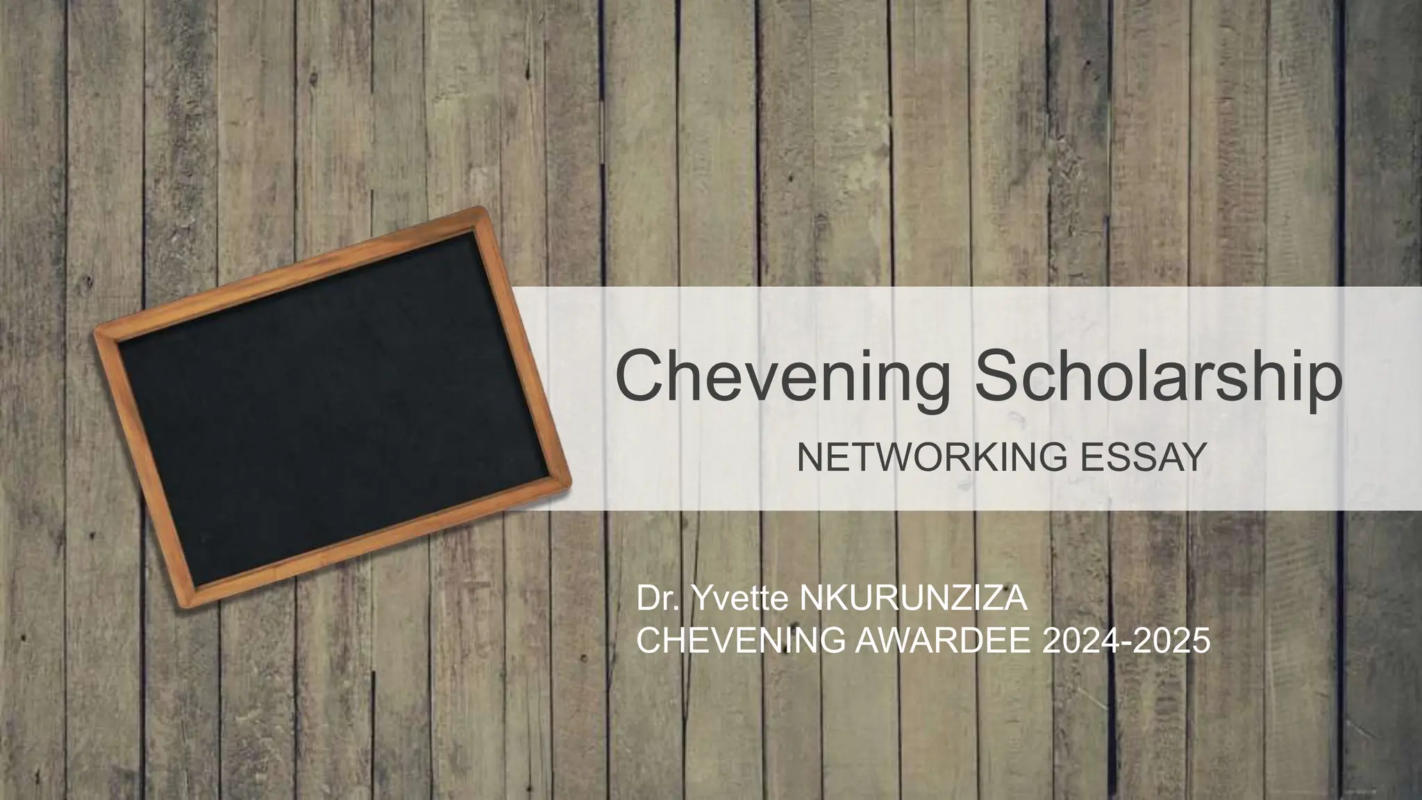 Chevening Scholarship Networking Leadership and Influence Essays ...
