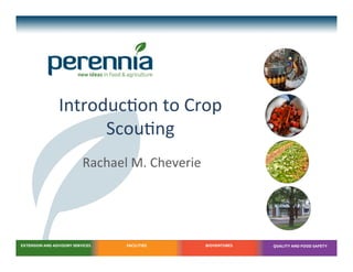 Crop Scouting for Organic Agriculture | PDF