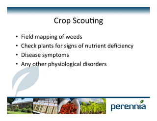 Crop Scouting for Organic Agriculture | PDF
