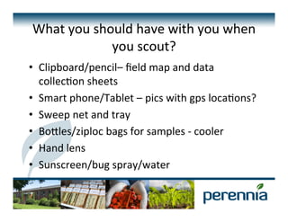 Crop Scouting for Organic Agriculture | PDF