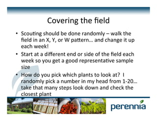 Crop Scouting for Organic Agriculture | PDF