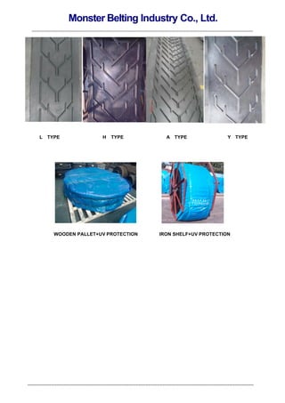 Chevron belt - pattern type - Monster Belting | PDF