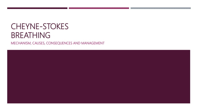 Cheyne stokes breathing | PPTX | Lung and Respiratory Health | Diseases ...