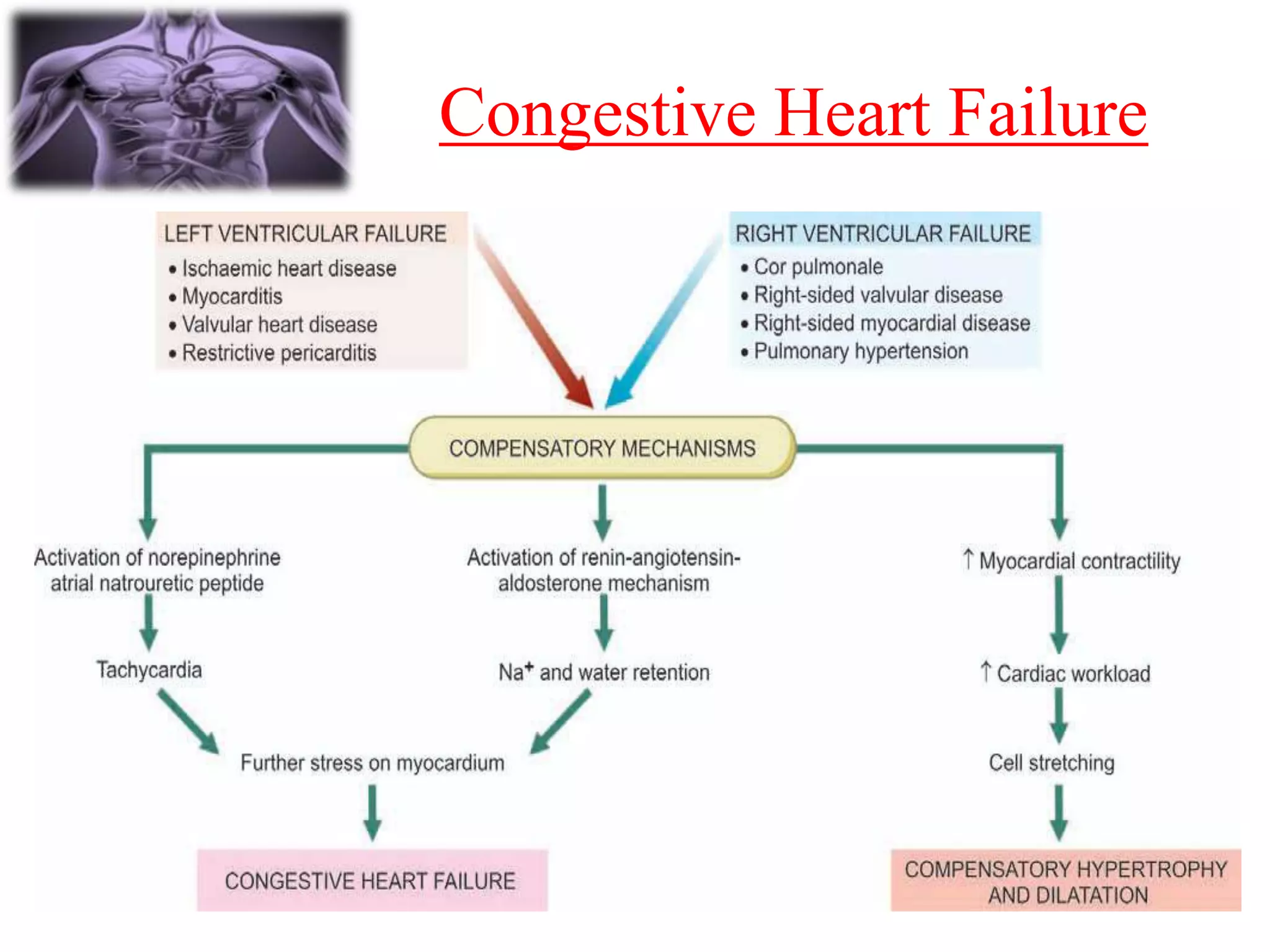 Congestive cardiac Failure | PPTX