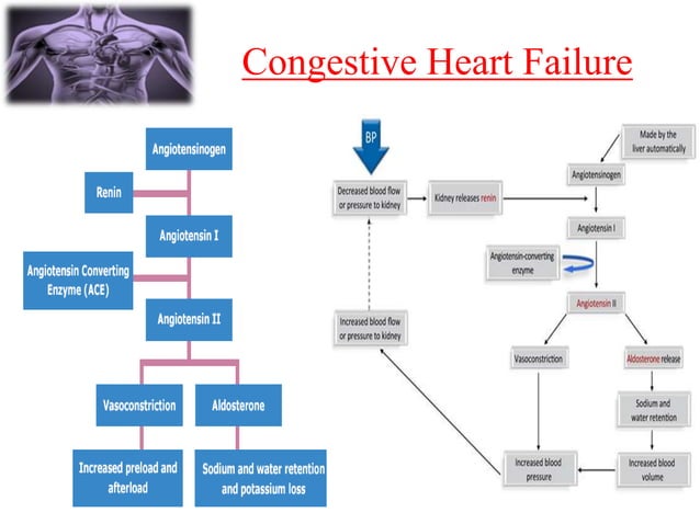 Congestive cardiac Failure | PPTX