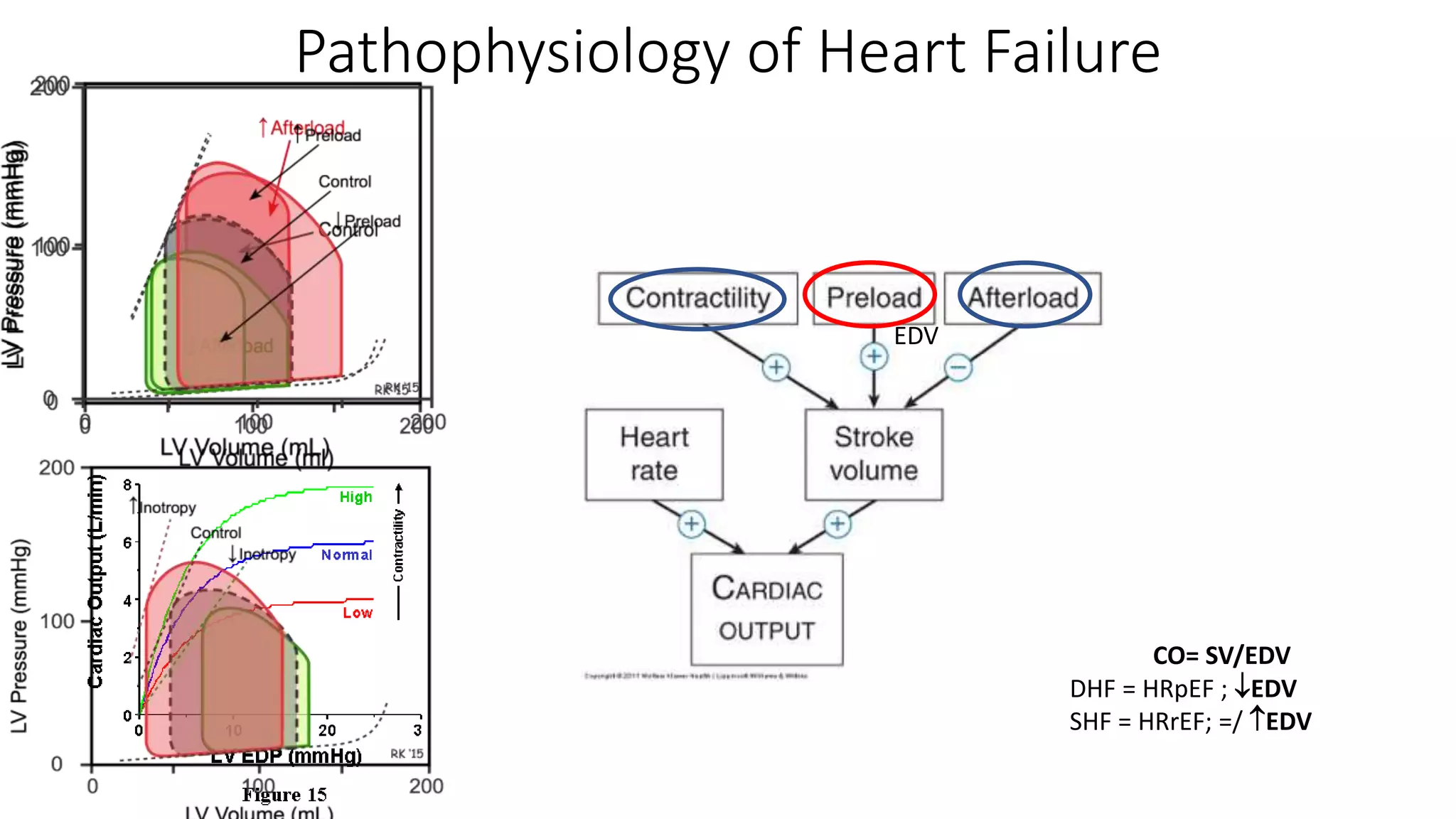 Chronic Heart Failure | PPTX