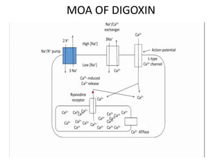 Congestive Heart Failure pharmacotherpeutics | PPTX