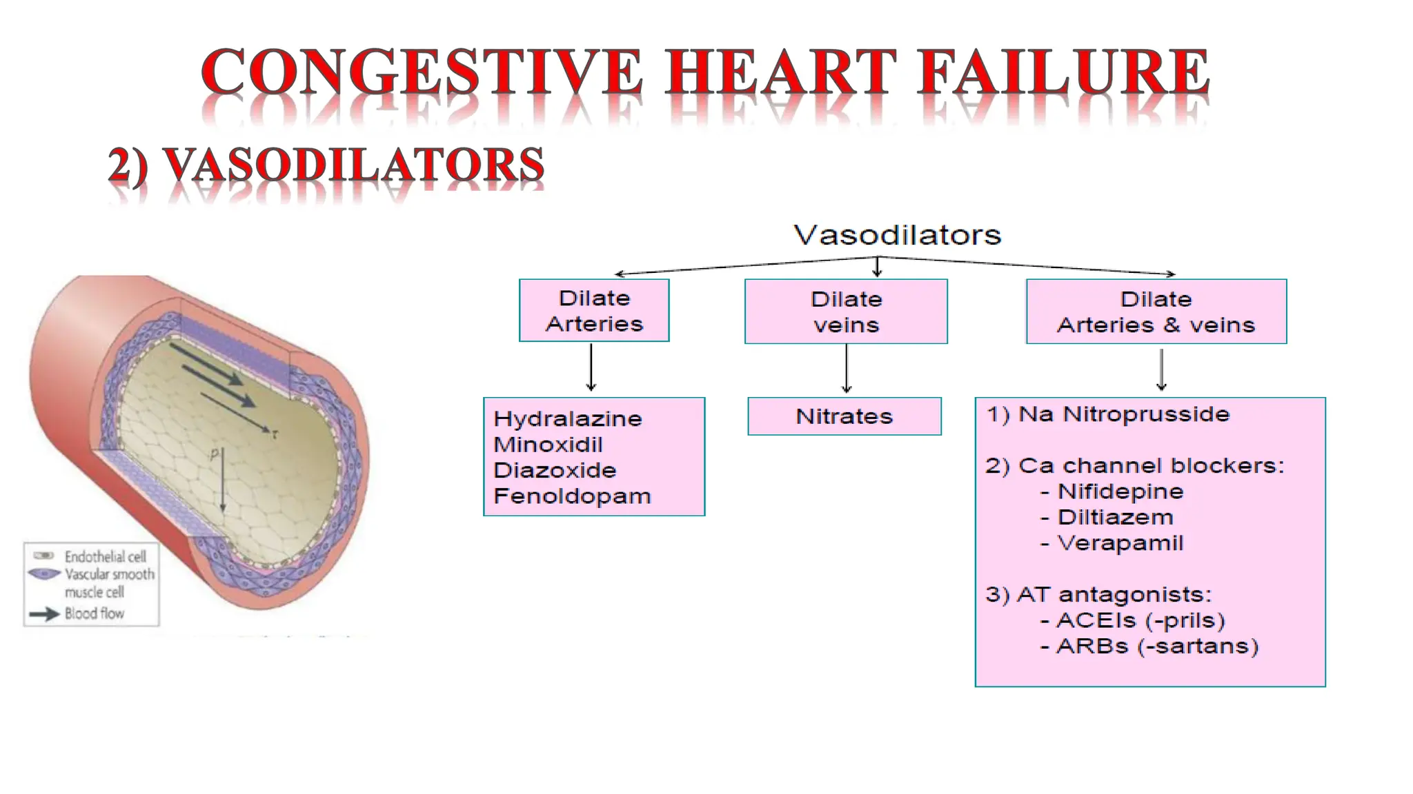 CHFcongestive heart failure structural functional.pptx