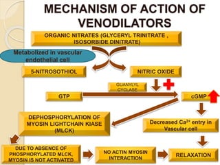 CHF BY SAYAMDEEP ROY B.PHARM | PPT