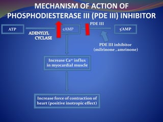 CHF BY SAYAMDEEP ROY B.PHARM | PPT