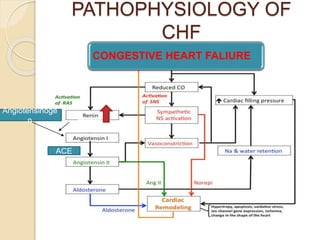 CHF BY SAYAMDEEP ROY B.PHARM | PPT