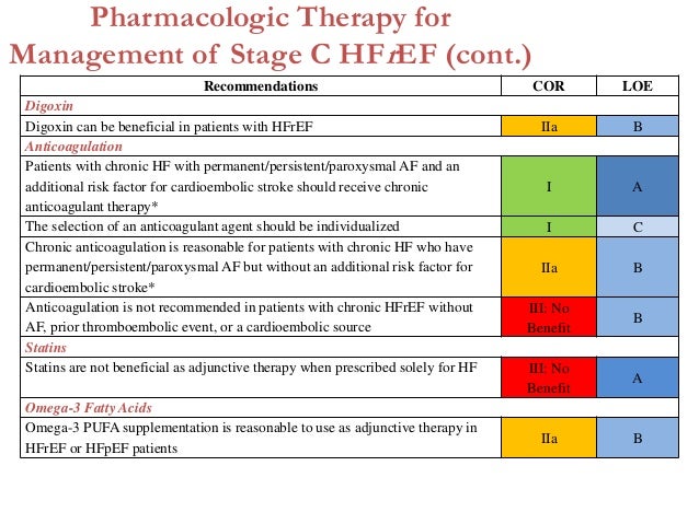 CHF guidelines 2013seminar