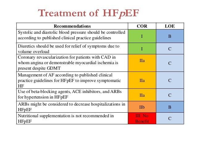 CHF guidelines 2013seminar