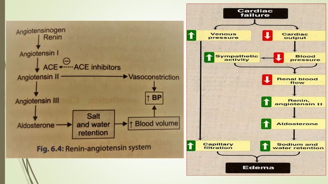 Congestive Heart Failure and Drugs used in CCF by Dr. Pawan | PPT