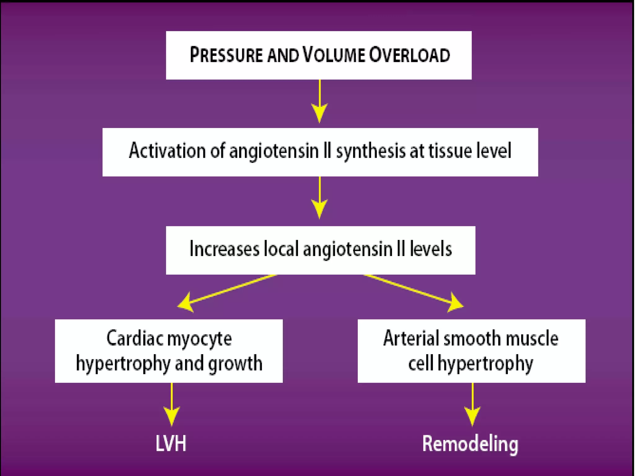 Congestive heart failure pathophysiology | PPT