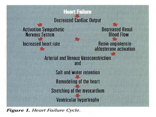 Congestive heart failure pathophysiology | PPT