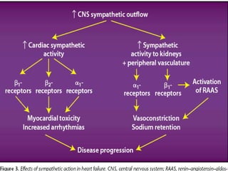 Congestive heart failure pathophysiology | PPT