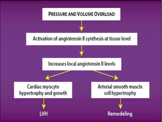 Congestive heart failure pathophysiology | PPT