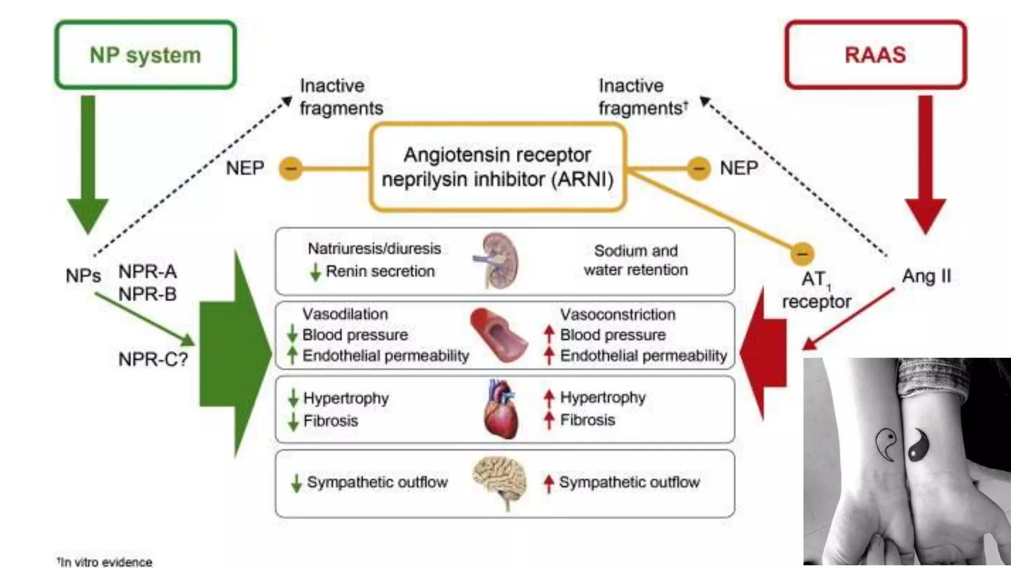 Taalaksana CHF terbaru.pptx