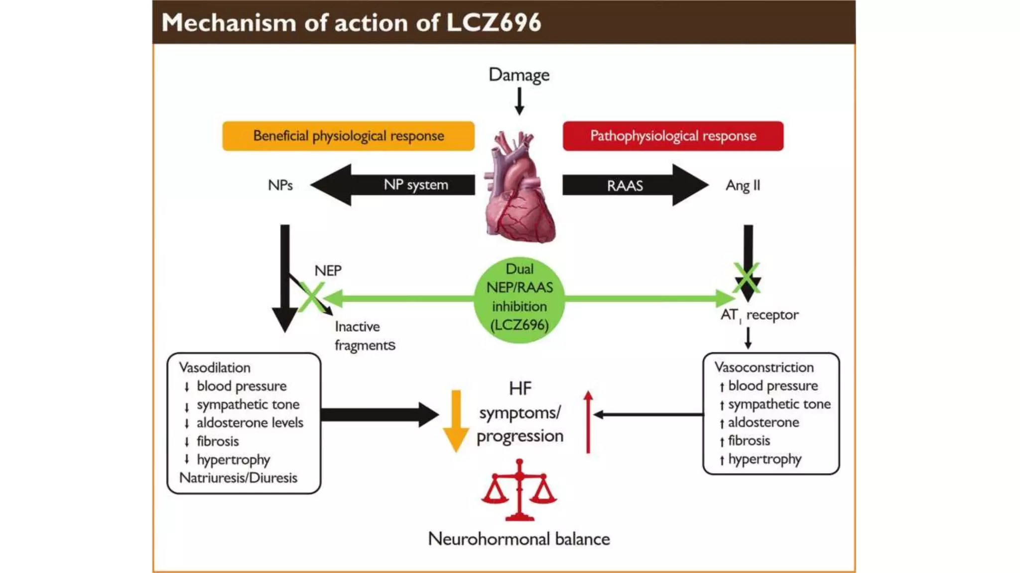 Taalaksana CHF terbaru.pptx