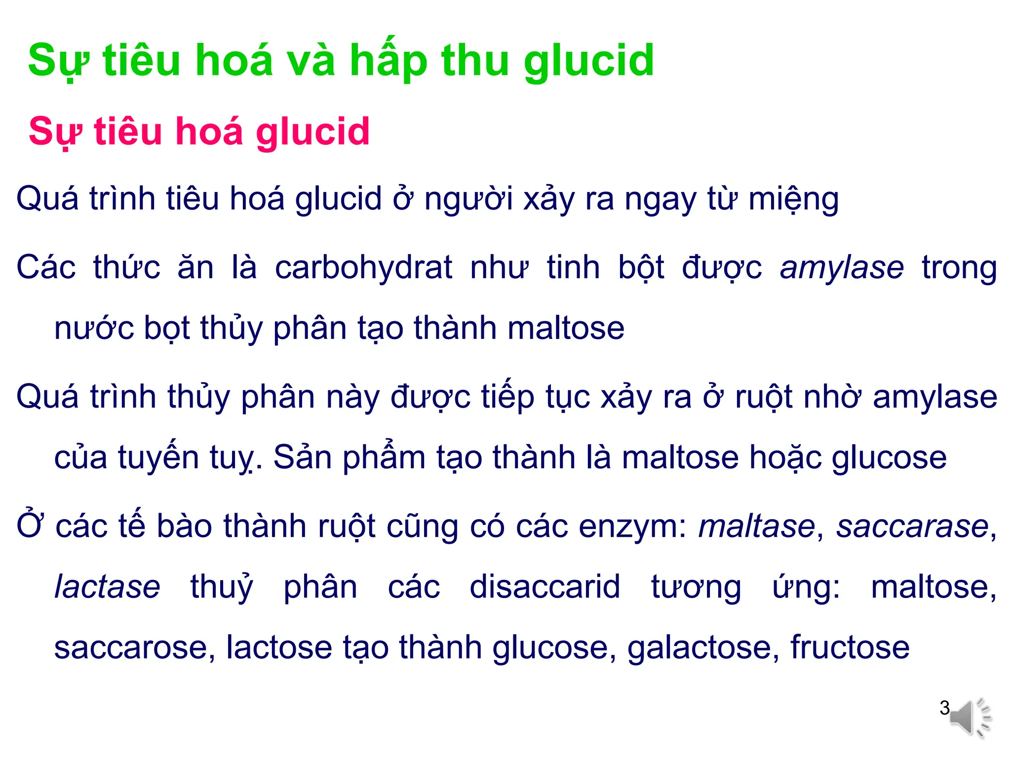 CH glucid university of Pham Ngoc Thach- v7.pdf