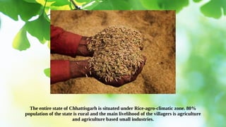 Chhattisgarh agriculture | PDF