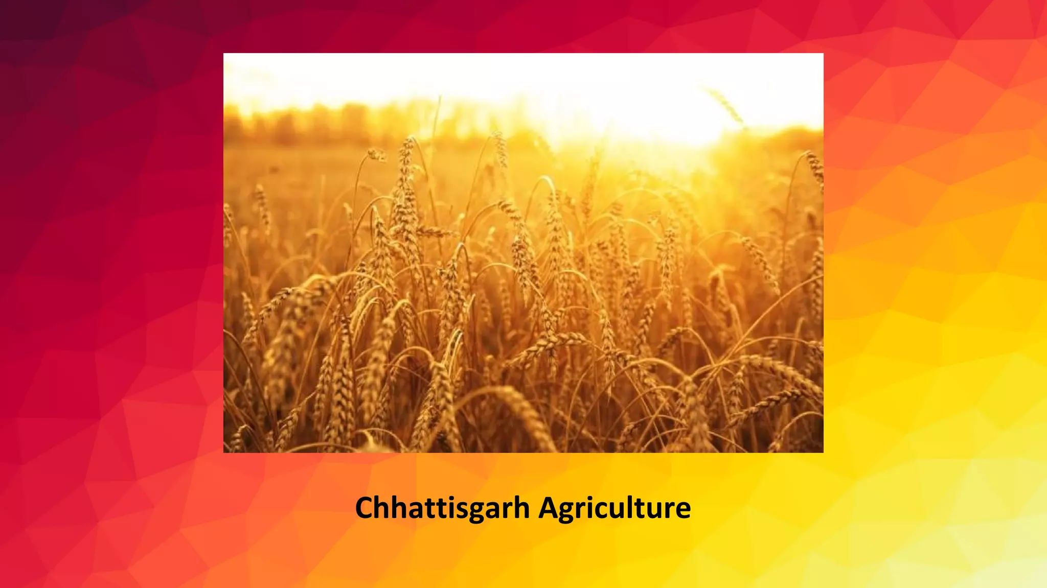 Chhattisgarh agriculture | PPT