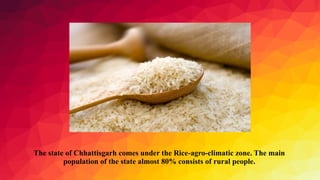 Chhattisgarh agriculture | PPT