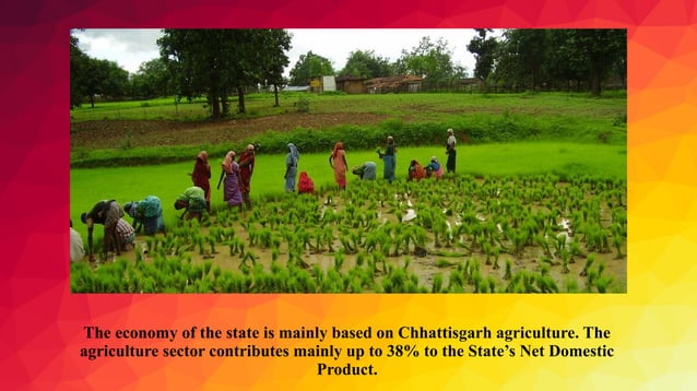 Chhattisgarh agriculture | PPT