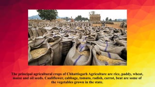Chhattisgarh agriculture | PPT