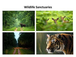 Chhattisgarh tourism | PPTX