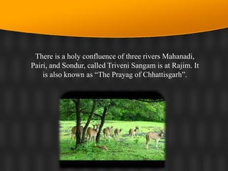 Chhattisgarh tourism | PDF