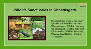 Chhattisgarh wildlife sanctuary | Apna Chhattisgarh | PPTX