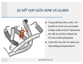 chuyển hóa hemoglobin | PDF